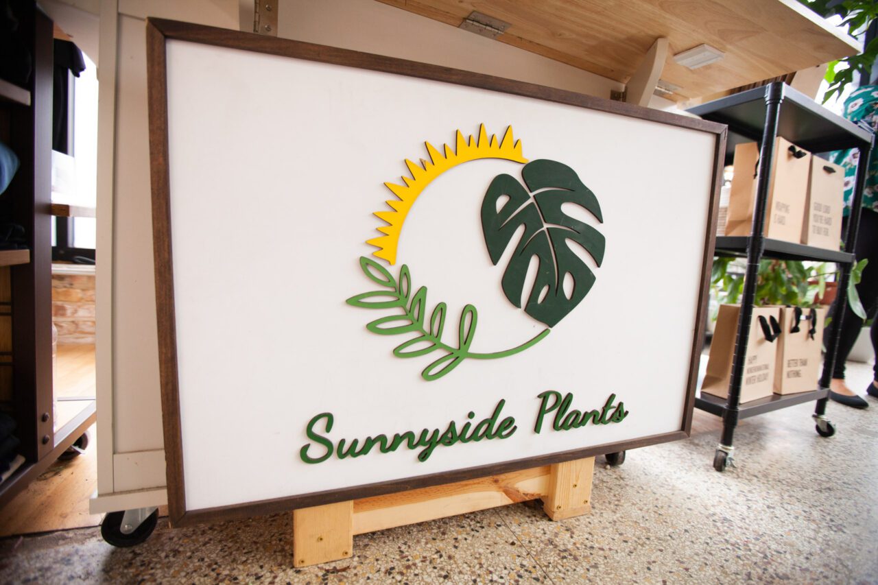 Homegrown Success: A Sit Down with Ann Vo from Sunnyside Plants ...